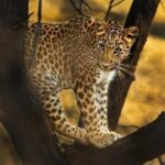 Private Full Day Outdoor Activities in Jaipur with Tickets - Who Will Love This Tour?