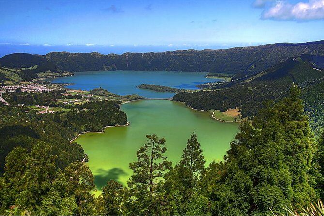 Private Full-Day Rotorua Tour from Auckland - What People Say: Authentic Traveler Feedback
