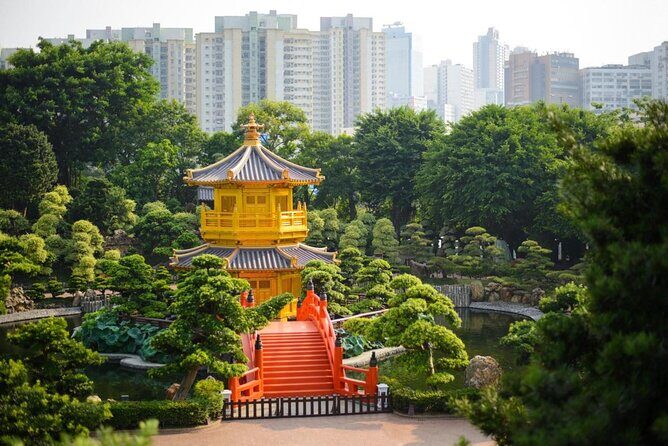 Private Full Day Sightseeing Tour of Kowloon in Hong Kong - Experience Details & Practicalities