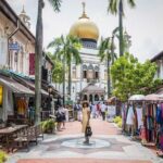 Private Full Day Singapore City Tour with Professional Tour Guide - Final Thoughts: Who Is This Tour For?