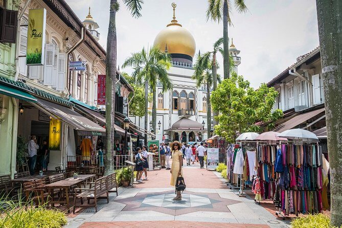 Private Full Day Singapore City Tour with Professional Tour Guide - Final Thoughts: Who Is This Tour For?