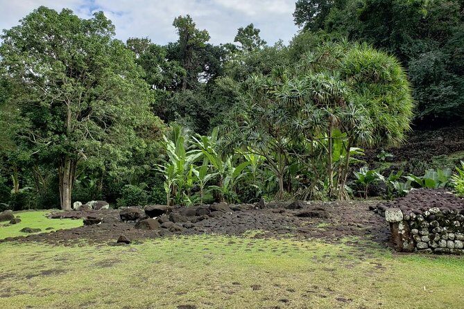 Private full day tour around Tahiti: the island's nature wonders - Who Should Book This Tour?