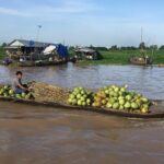 Private Full Day Tour: Authentic Mekong Delta Life in Ben Tre - Practical Considerations: Transport, Timing, and Value