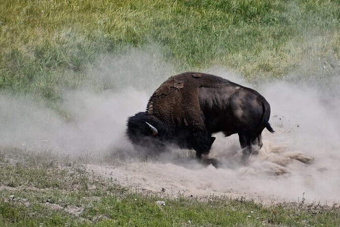 Private Full Day Tour of Yellowstone's Natural Wonders - Price Analysis and What You’re Getting
