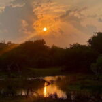 Private Full Day Udawalawe Safari Trip with Lunch - Frequently Asked Questions