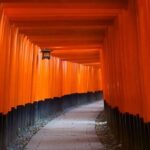 Private Fushimi Inari sightseeing and Nishiki Food Tour - Who Would Enjoy This Tour?