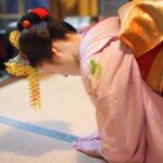 Private geisha show with Maiko, an geisha apprentice - Who Should Consider This Tour?