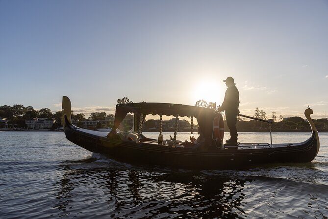 Private Gondola Cruise through Surfers Paradise - Itinerary Breakdown: What You’ll See and Experience