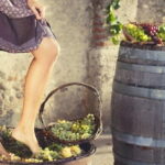 Private Grape stomping in Chianti from Florence - The Sum Up