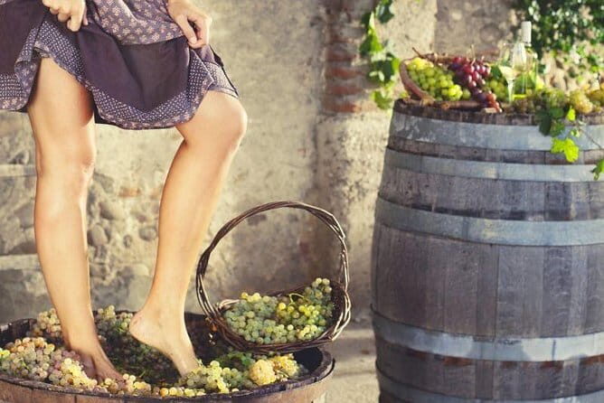 Private Grape stomping in Chianti from Florence - The Sum Up