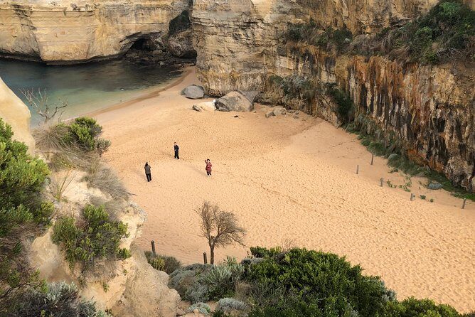 Private Great Ocean Road Local Experience - Is It Worth the Cost?