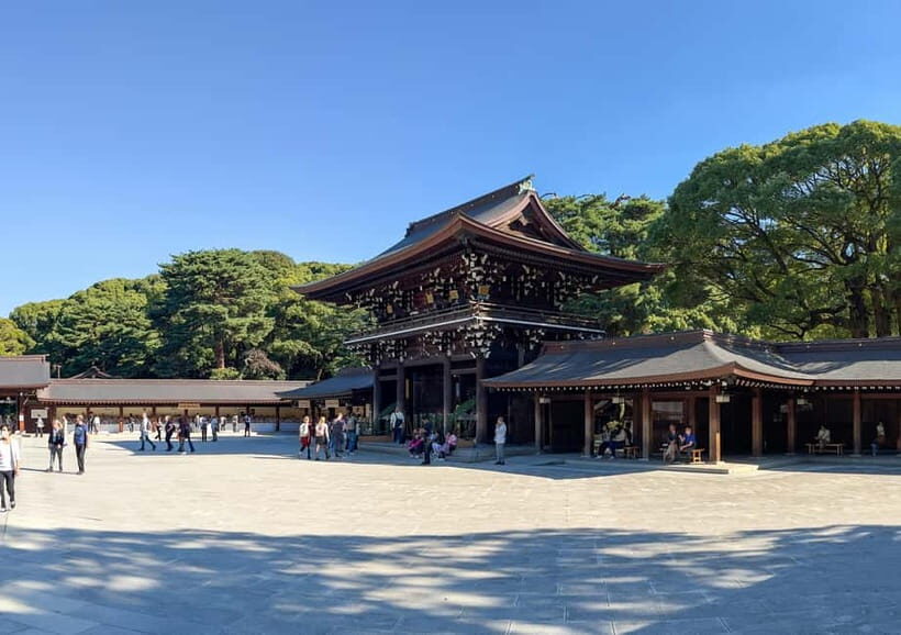 Private Group Tokyo Day Tour in a car or van - The Experience of Traveling with a Private Driver
