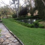 Private Group Wine Tasting in McLaren Vale - Itinerary Breakdown