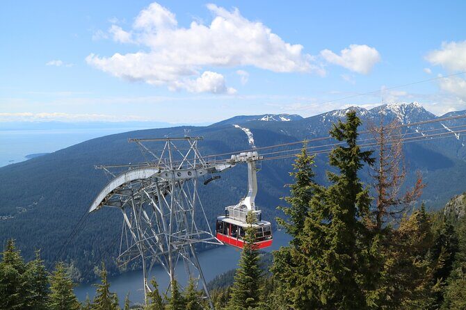 Private Grouse Mountain and Capilano Park Tour in Vancouver - The Suspension Bridge Adventure