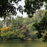 Private Guangzhou History and Sightseeing Tour - Practical Aspects and What This Means for You