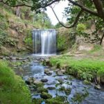 Private Guided Auckland Waterfalls Tour - Who Should Consider This Tour?