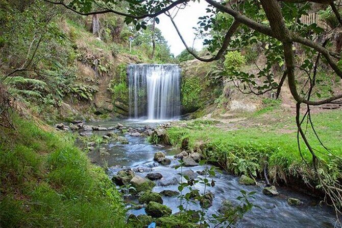 Private Guided Auckland Waterfalls Tour - Who Should Consider This Tour?
