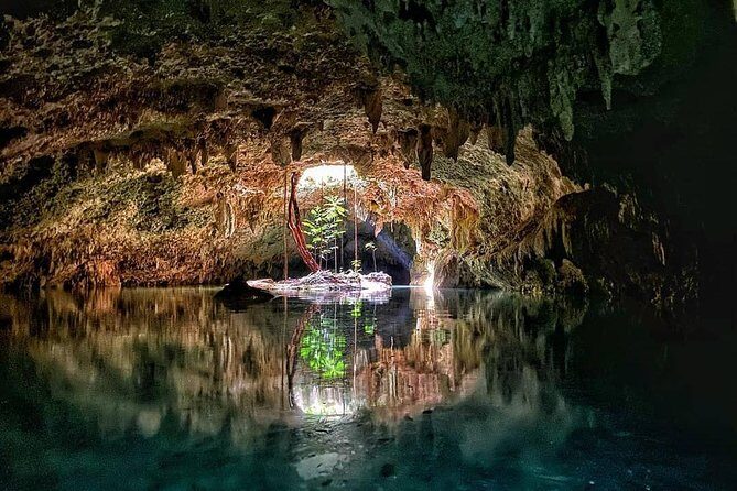Private Guided Cenotes and Underground River Exploration - Transportation & Logistics