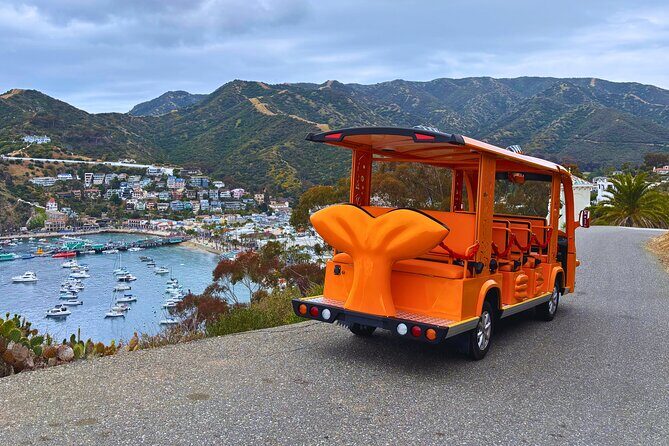 Private Guided City Tour up to 12 Passengers - Why Travelers Love It