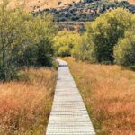Private Guided Encounter Glenorchy Tour - A Tranquil Walk at Glenorchy Lagoon