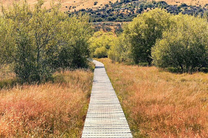 Private Guided Encounter Glenorchy Tour - A Tranquil Walk at Glenorchy Lagoon