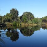 Private Guided Kiwi Encounter in Nga Manu Reserve - FAQ