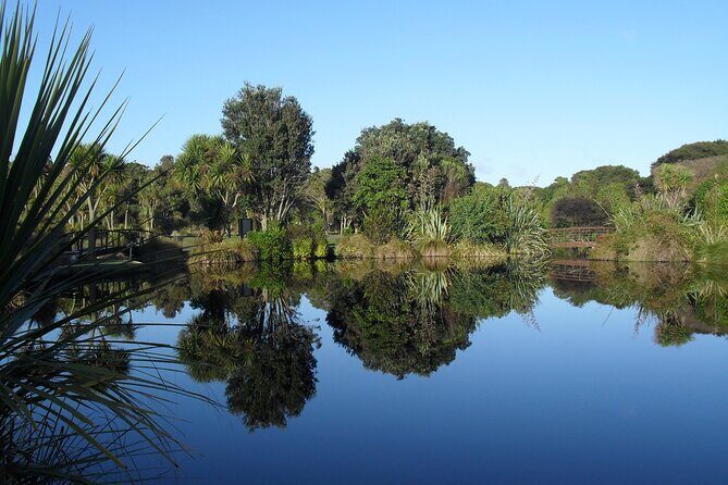 Private Guided Kiwi Encounter in Nga Manu Reserve - FAQ