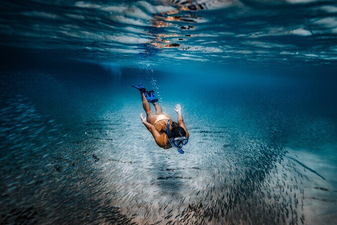 Private Guided Snorkeling in Cabo San Lucas - The Guides: Knowledge and Responsibility