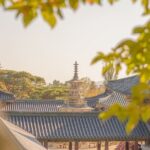 Private Gyeongju Tour - Explore Gyeongju UNESCO Sites - What the Tour Means for You