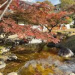 Private Half-Day Gion Guided Tour in Kyoto - The Sum Up