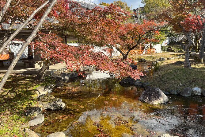 Private Half-Day Gion Guided Tour in Kyoto - The Sum Up