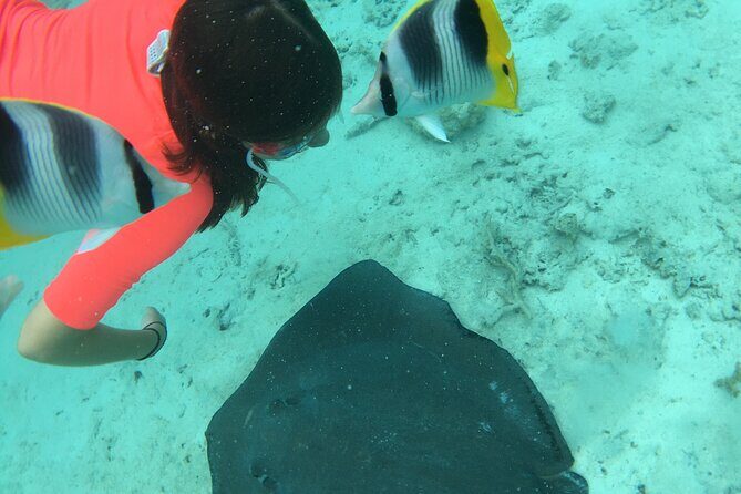 PRIVATE HALF DAY LAGOON TOUR - Bora Bora Cultural Lagoon Tour - Who Should Consider This Tour?