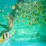 Private Half Day Sailing Excursion on the Lagoon of Tahiti - Who Is This Tour Best For?