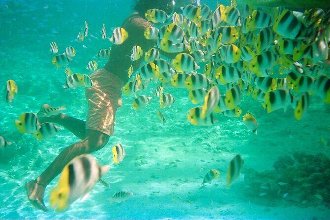 Private Half Day Sailing Excursion on the Lagoon of Tahiti - Who Is This Tour Best For?