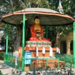Private Half-Day Tour in Sarnath from Varanasi - Who Should Consider This Tour?