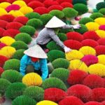Private Half Day Tour to Quang Phu Cau Incense village from Hanoi - Who Will Love This Tour?