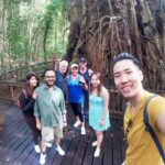 Private Half Day Tour: World Heritage Rainforest & Waterfall - Authentic Experiences from Travelers