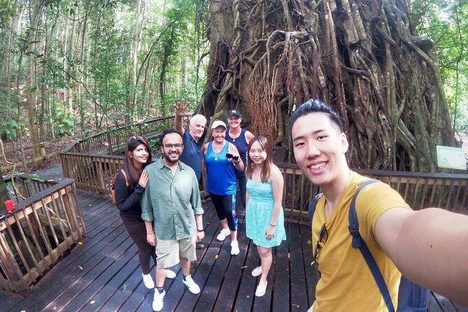 Private Half Day Tour: World Heritage Rainforest & Waterfall - Authentic Experiences from Travelers
