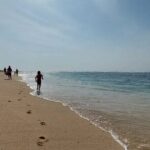 Private Half-Day Uluwatu Beach and Temple Tour - An In-Depth Look at the Uluwatu Beach and Temple Tour