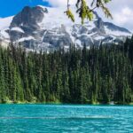 Private Hiking Day tour of Joffre Lakes Park - Analyzing the Experience: What Travelers Say