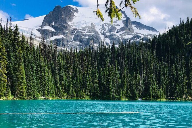 Private Hiking Day tour of Joffre Lakes Park - Analyzing the Experience: What Travelers Say