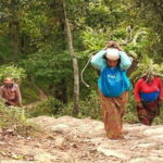 Private Hiking Tour to Peace Pagoda Including Fewa Lake Boating - What Makes This Tour Stand Out