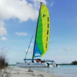 Private Hobie Cat Sailing Tour - Who Will Love This Tour?