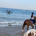 Private Horse Riding in Mount Lavinia - Evaluating the Value: Is It Worth $70?