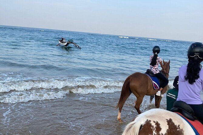 Private Horse Riding in Mount Lavinia - Evaluating the Value: Is It Worth $70?
