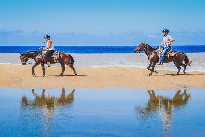 Private Horseback Riding in Cabo San Lucas - The Experience in Detail