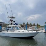 Private Huatulco Whale & Dolphin Adventures - The Itinerary: What Makes This Tour Special