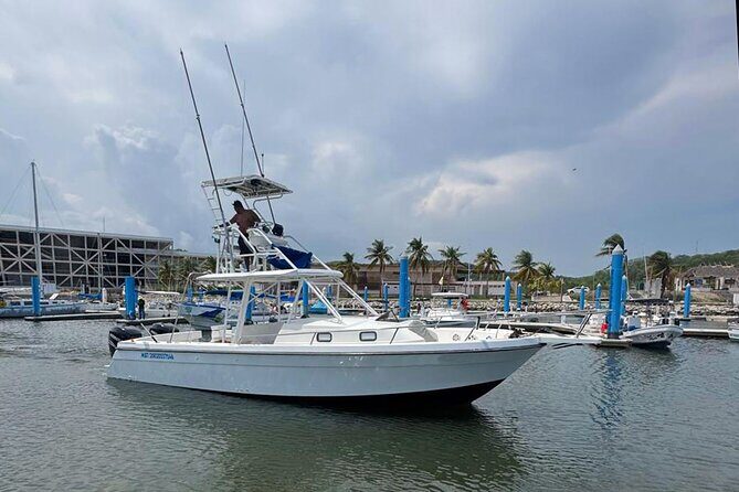 Private Huatulco Whale & Dolphin Adventures - The Itinerary: What Makes This Tour Special