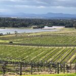 Private Hunter Valley Wine Day Tour from Sydney luxury Mercedes - What the Price Reflects: Value and Experience