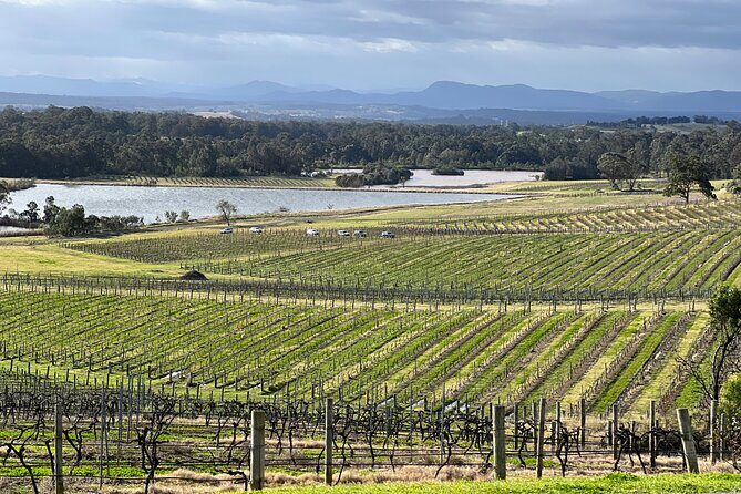Private Hunter Valley Wine Day Tour from Sydney luxury Mercedes - What the Price Reflects: Value and Experience